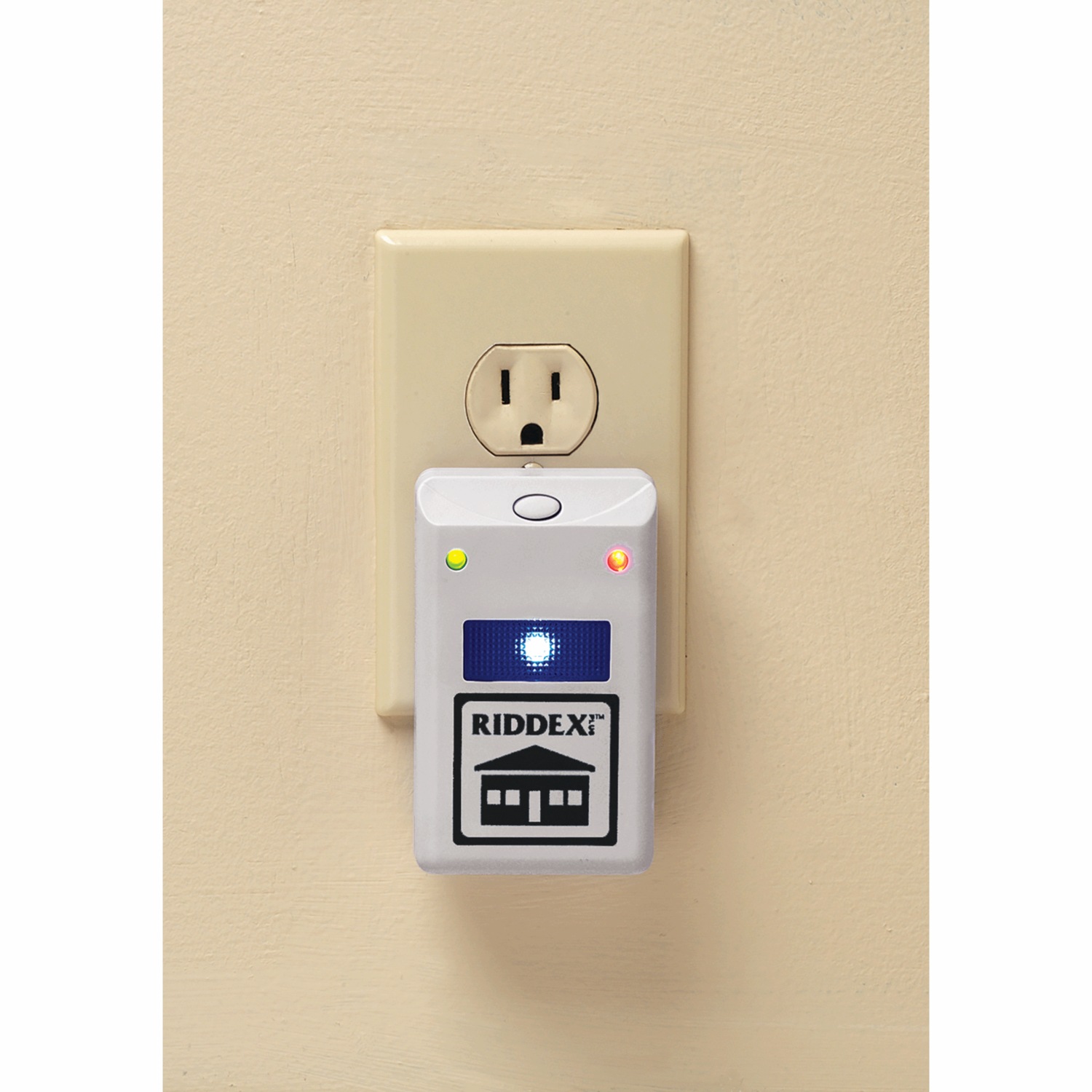 RIDDEX Plus | Harriet Carter