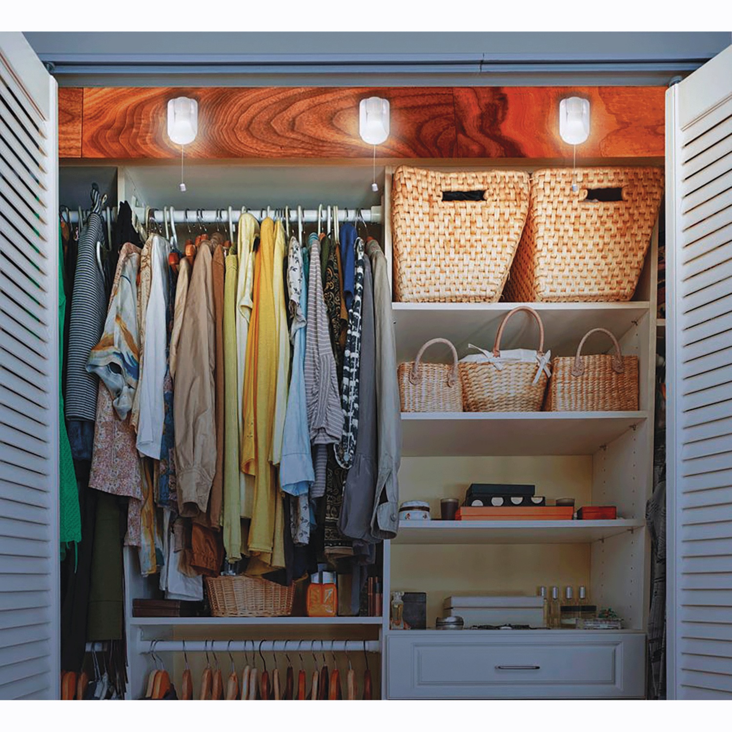 3-Pack LED Light Bulbs | Harriet Carter