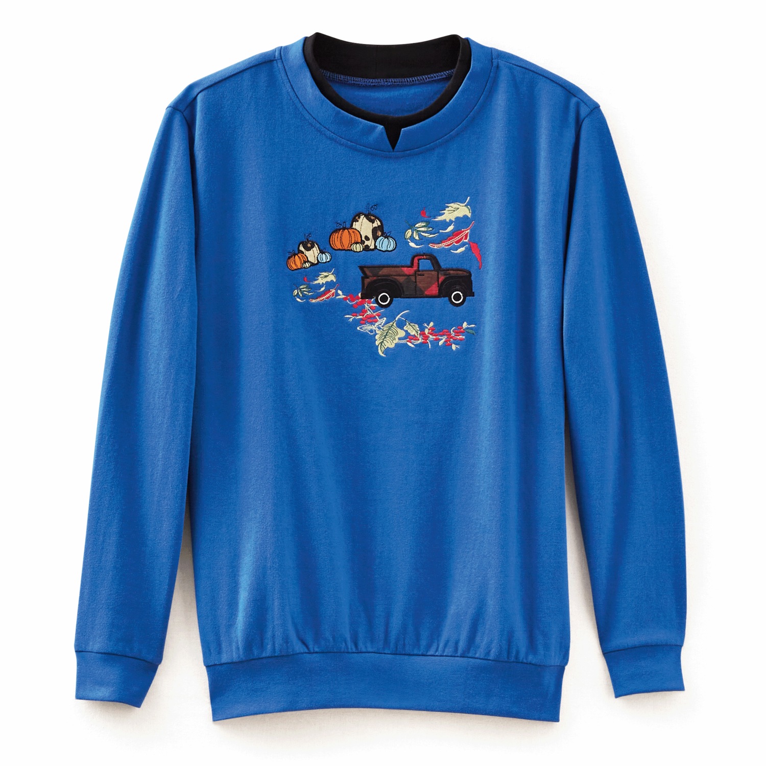 Novelty Embroidered Sweatshirt | Harriet Carter